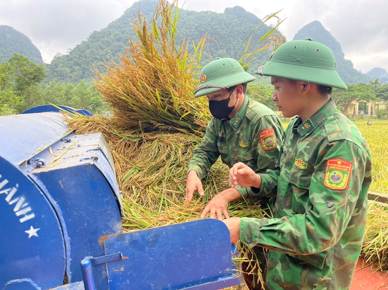 Ruc people in Minh Hoa have a good rice harvest - Vietnam.vn